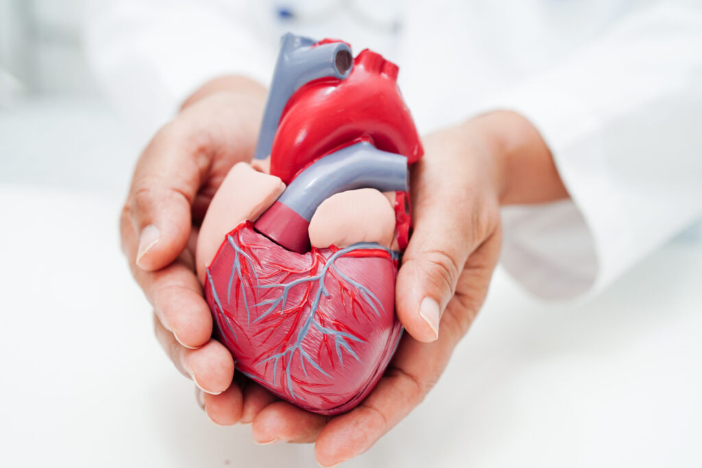 3D – Cardiovascular Cartography - Neomed Hospitals